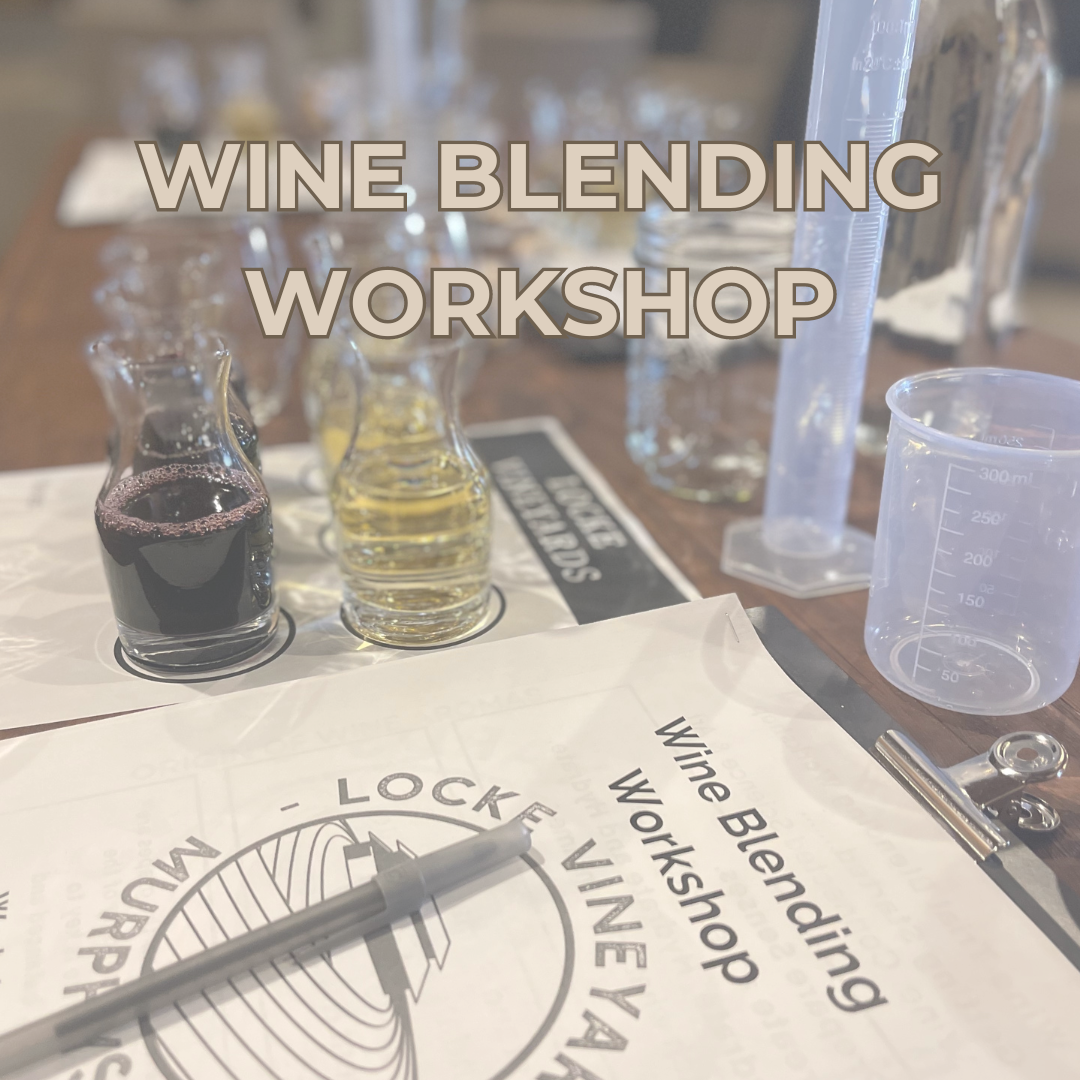 Wine Blending Workshop 3/23/24 – The Barn at Locke Vineyards
