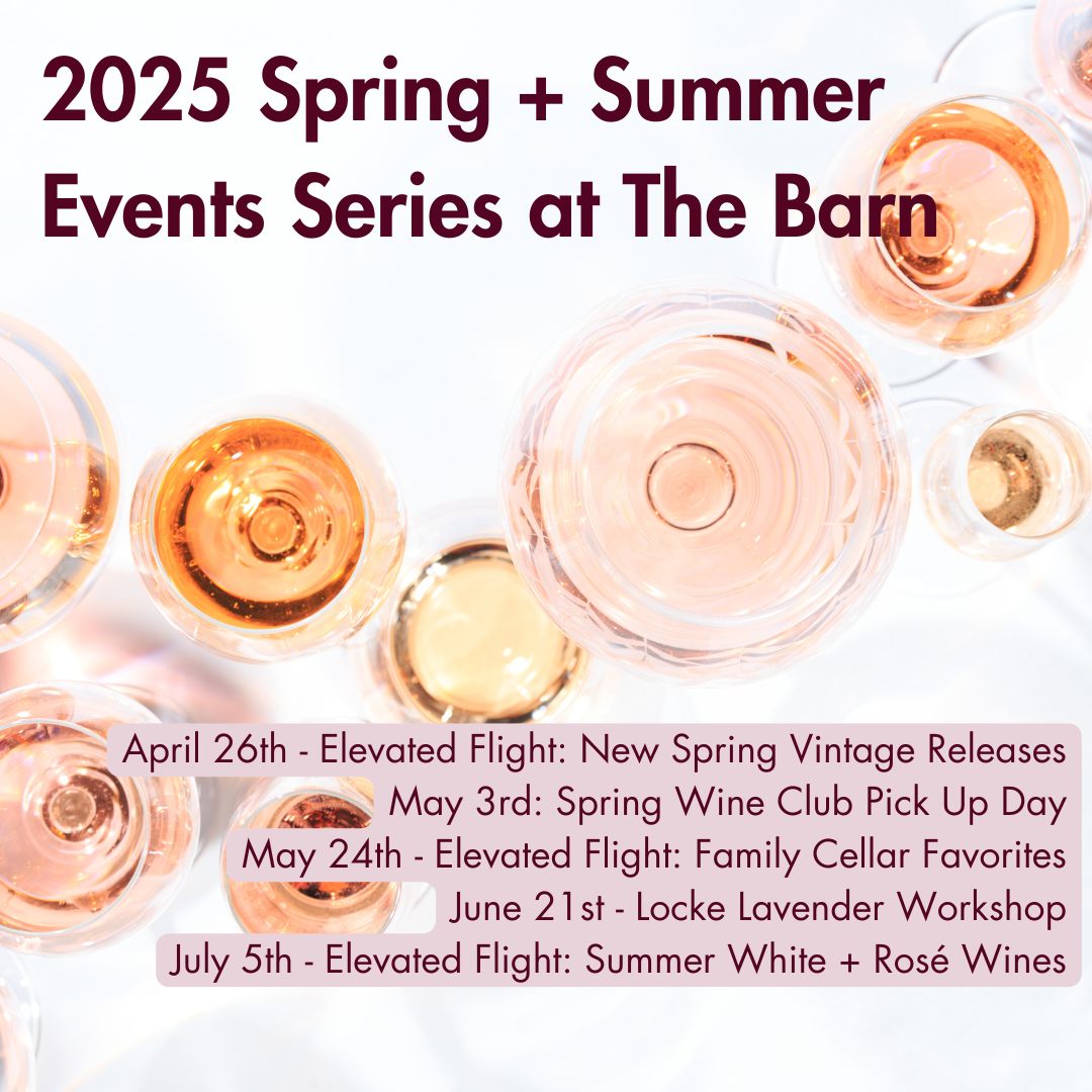 2025 Spring/Summer Events Series – The Barn at Locke Vineyards