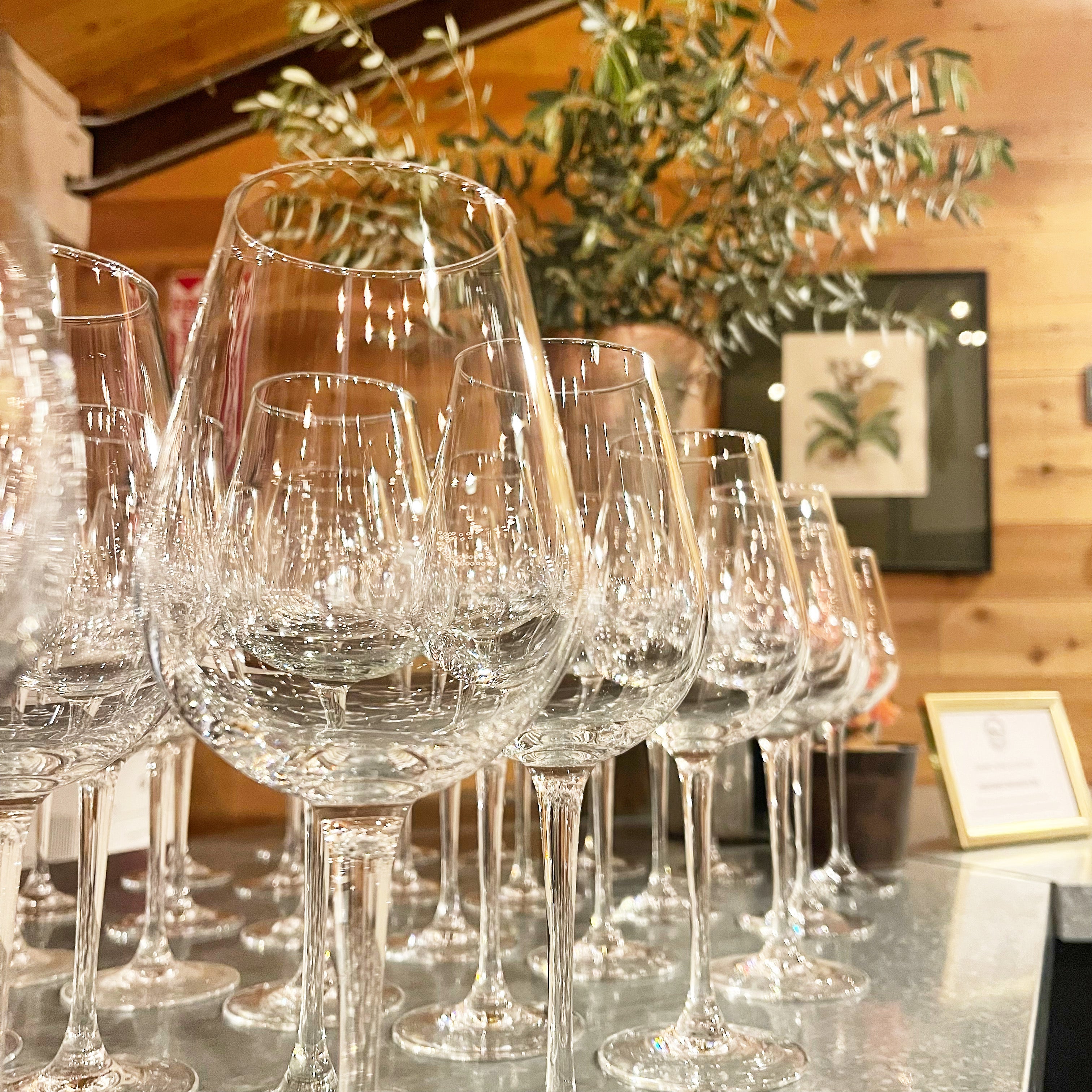 Winter Wine Club Release Day! Register Today! – The Barn at Locke Vineyards