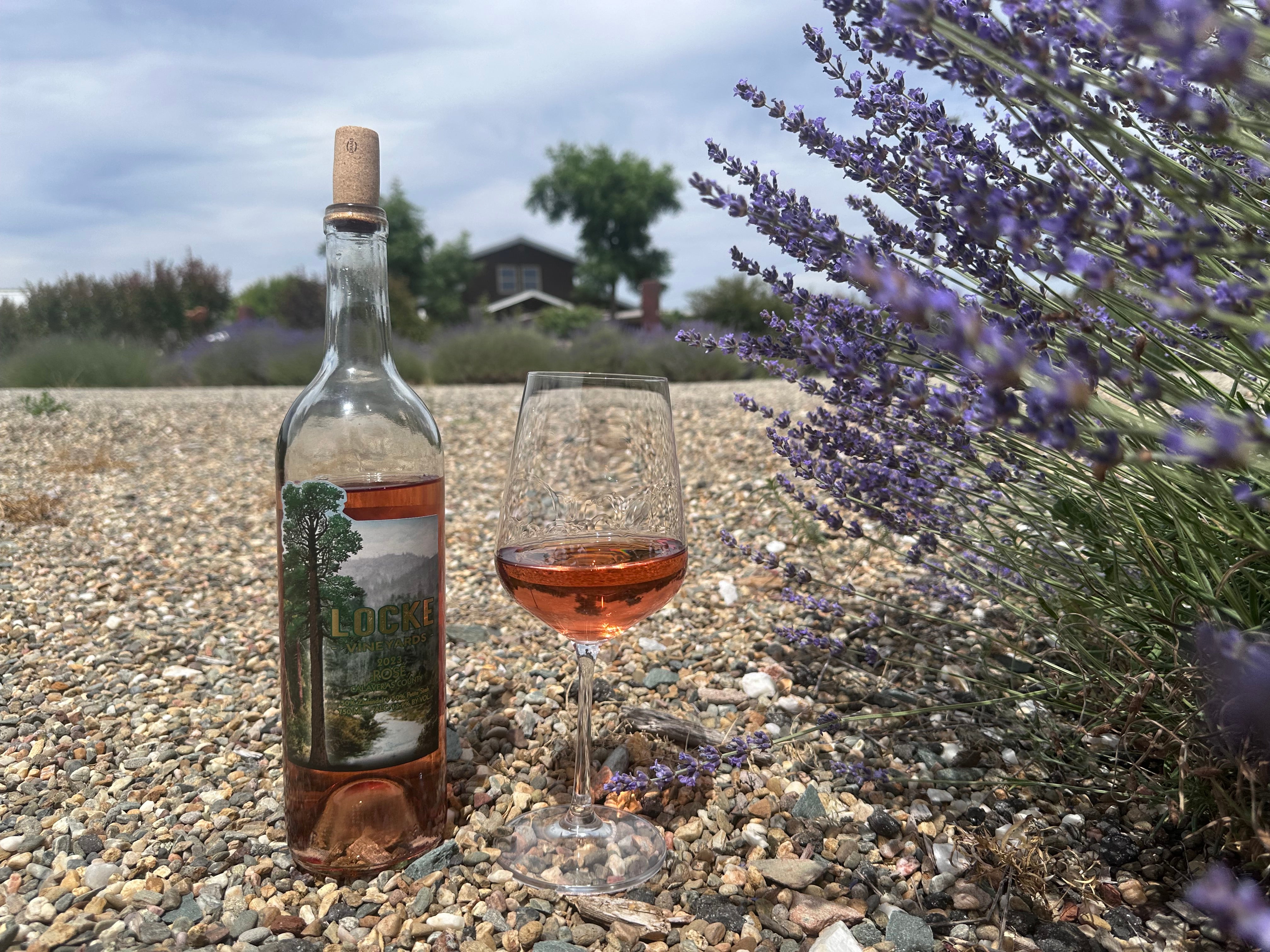 2024 June Wine Tasting Flight – The Barn at Locke Vineyards